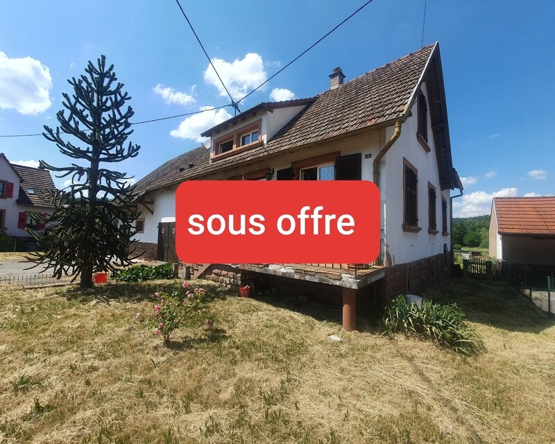 Jonathan Hipp conseiller immobilier à Philippsbourg, 57230 - LF immo